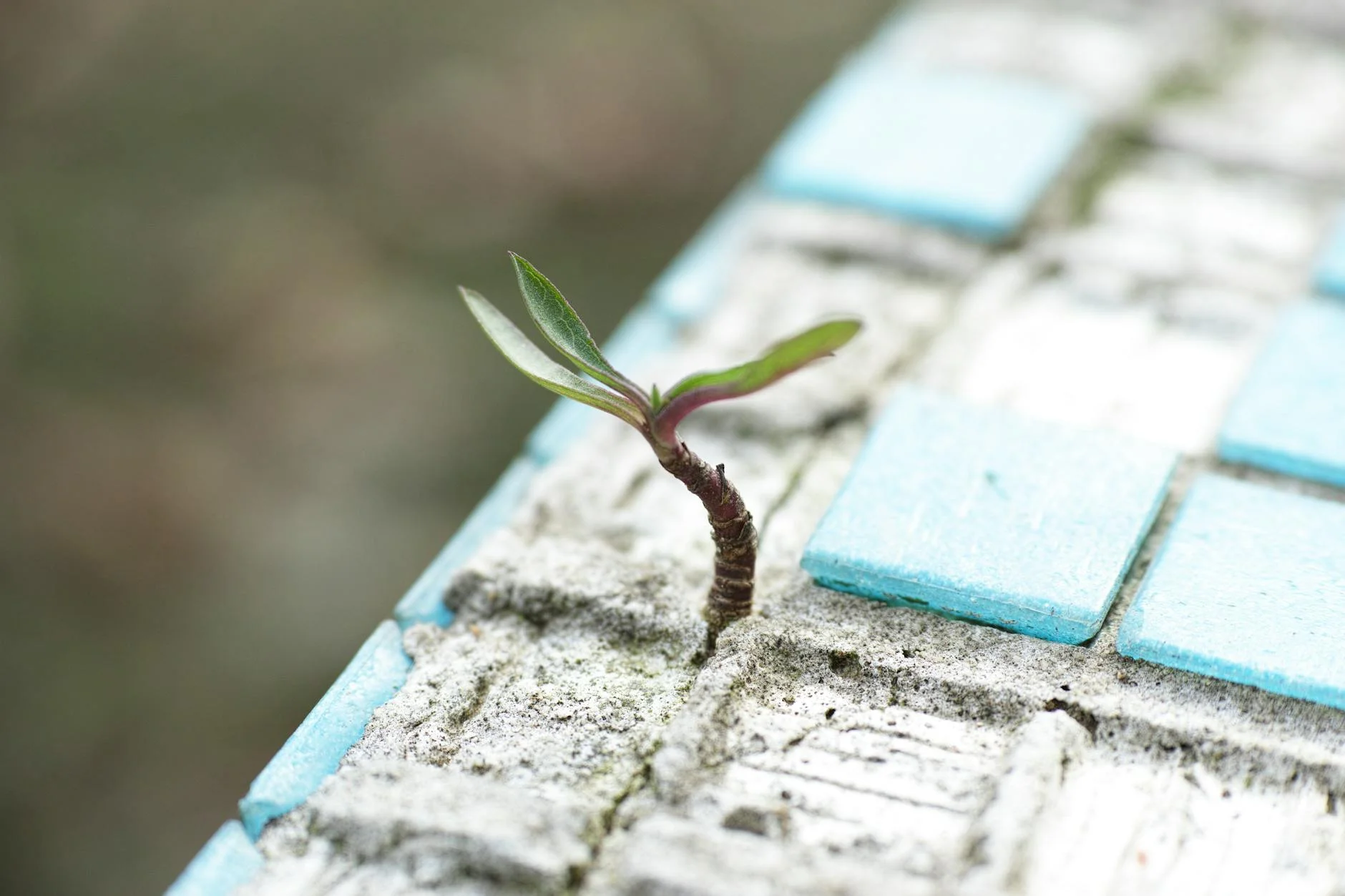 How to Sell a Life Insurance Policy - JG Wentworth